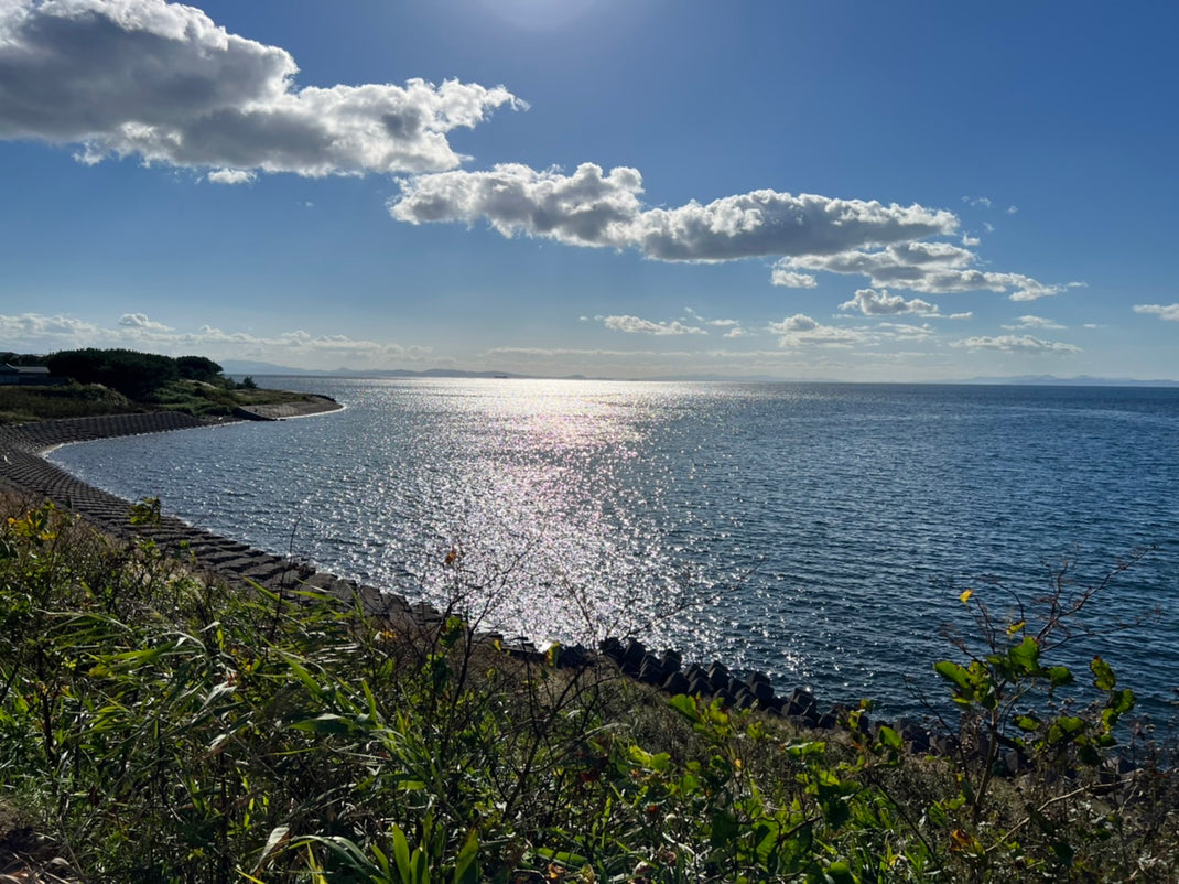 現状の商品一覧 – PRS Fishing